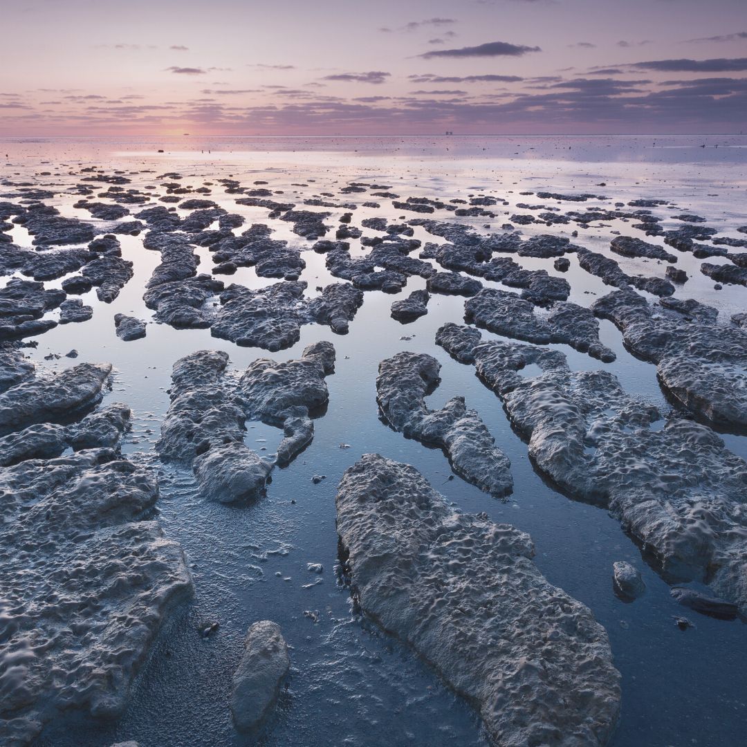 Ons concept - Op Oost - Boutique hotel en restaurant het Kook Atelier Texel